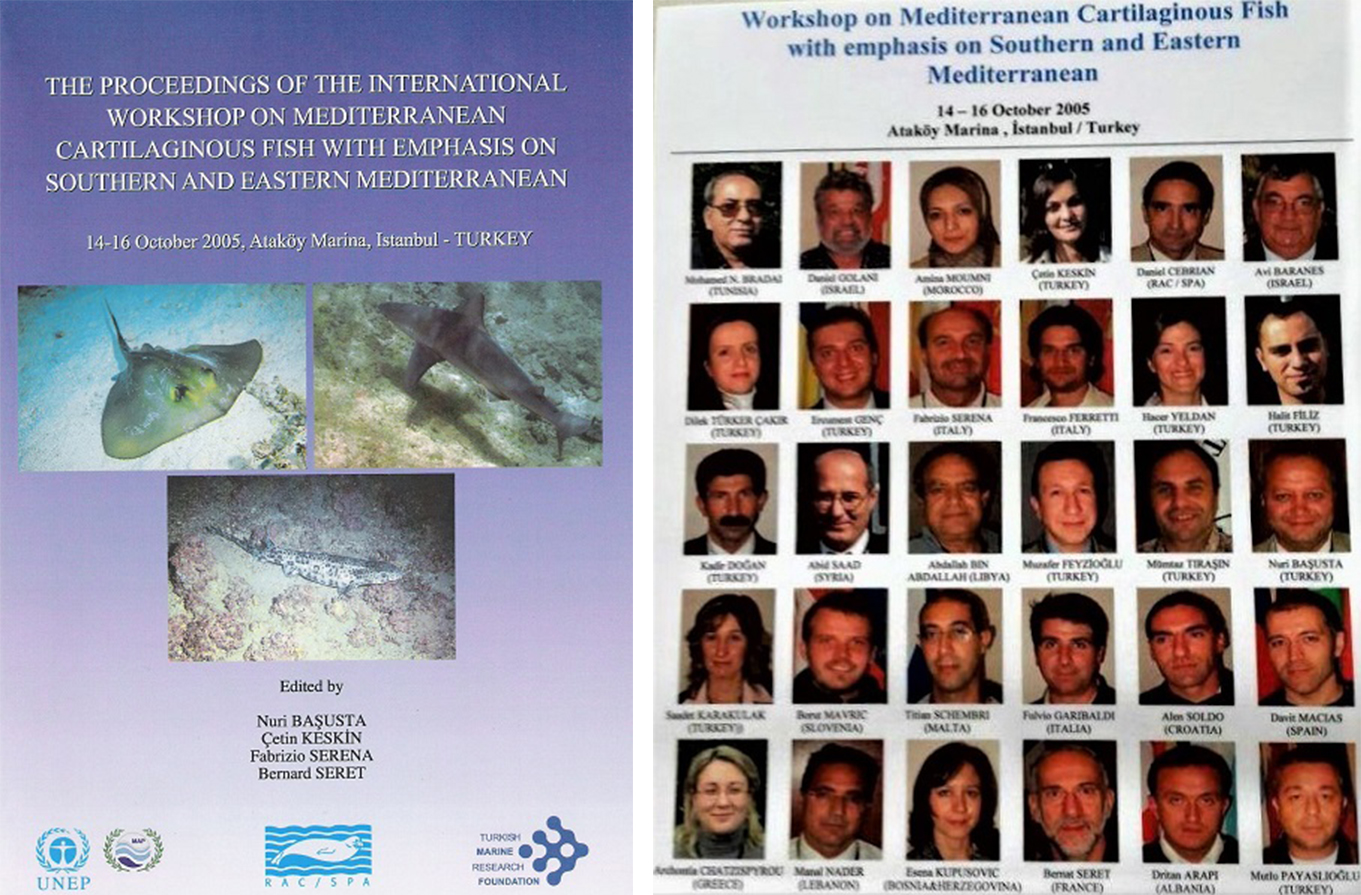 Cartilaginous Fish Research and Conservation Programme in Turkey by ...